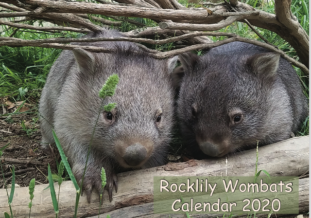 2020 Rocklilywombats Calendar Sold Out – Rocklily Wombats
