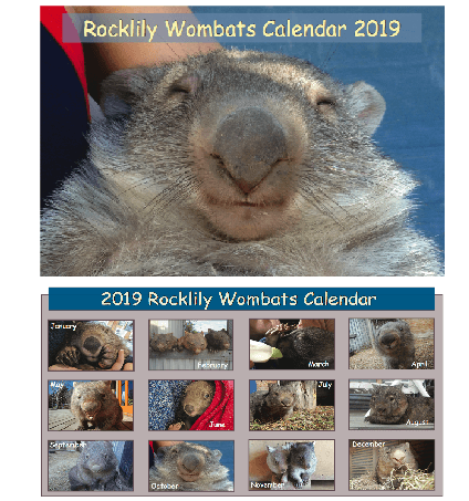 2019 Wombat Calendar just $10 – Rocklily Wombats