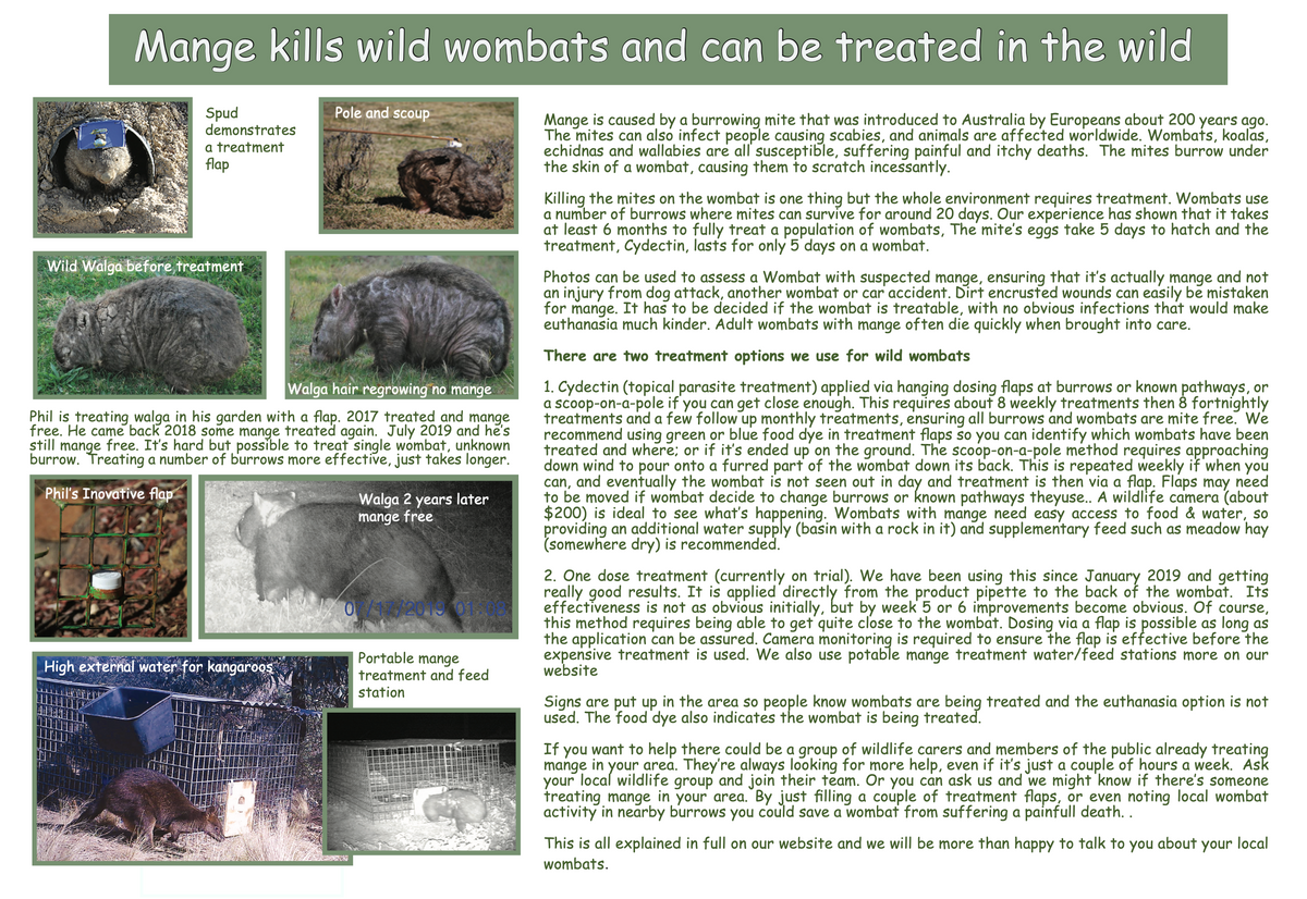 OLD STOCK : 2020 Rocklilywombats Calendar just a few left for those co ...