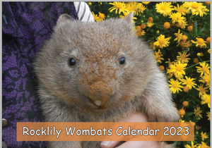 Rocklily Wombats